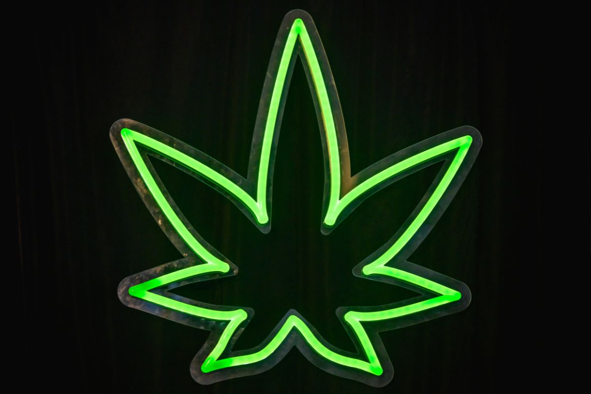 Maximizing Success Effective Strategies For Cannabis And Cbd
